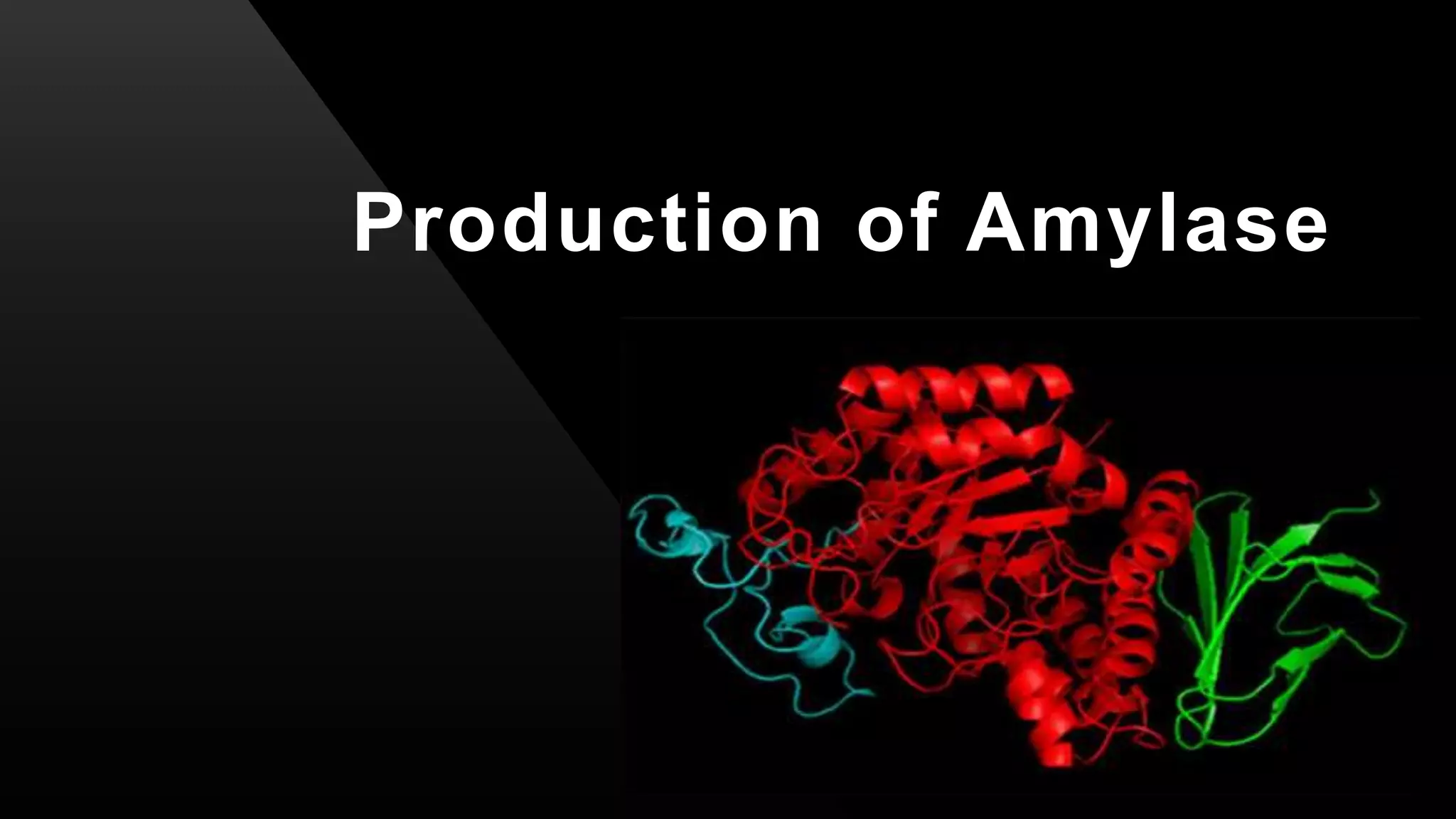 Production of amylase | PPTX