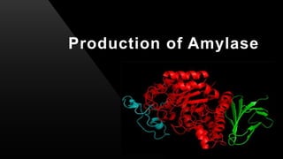 Production of amylase | PPTX