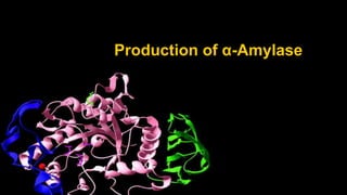 Production of amylase | PPTX