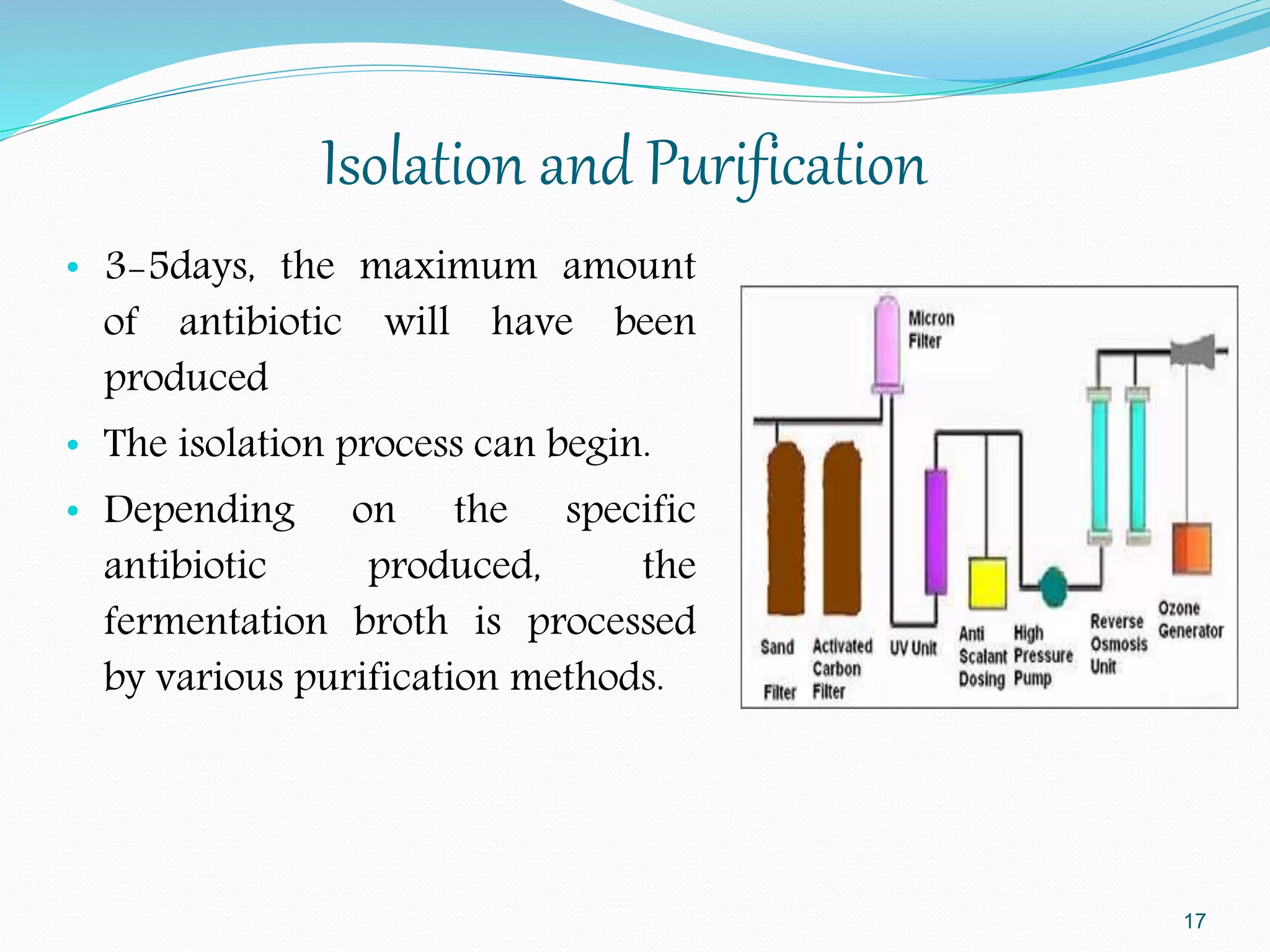 Production of Antibiotics | PPT