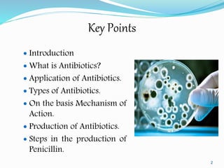 Production of Antibiotics | PPT