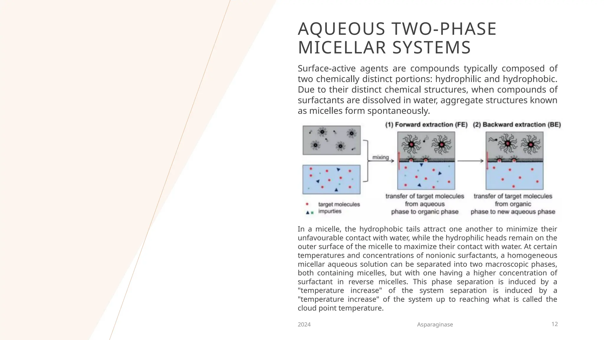 Production of Asparaginase Enzyme, An Antitumor Agent | PPTX