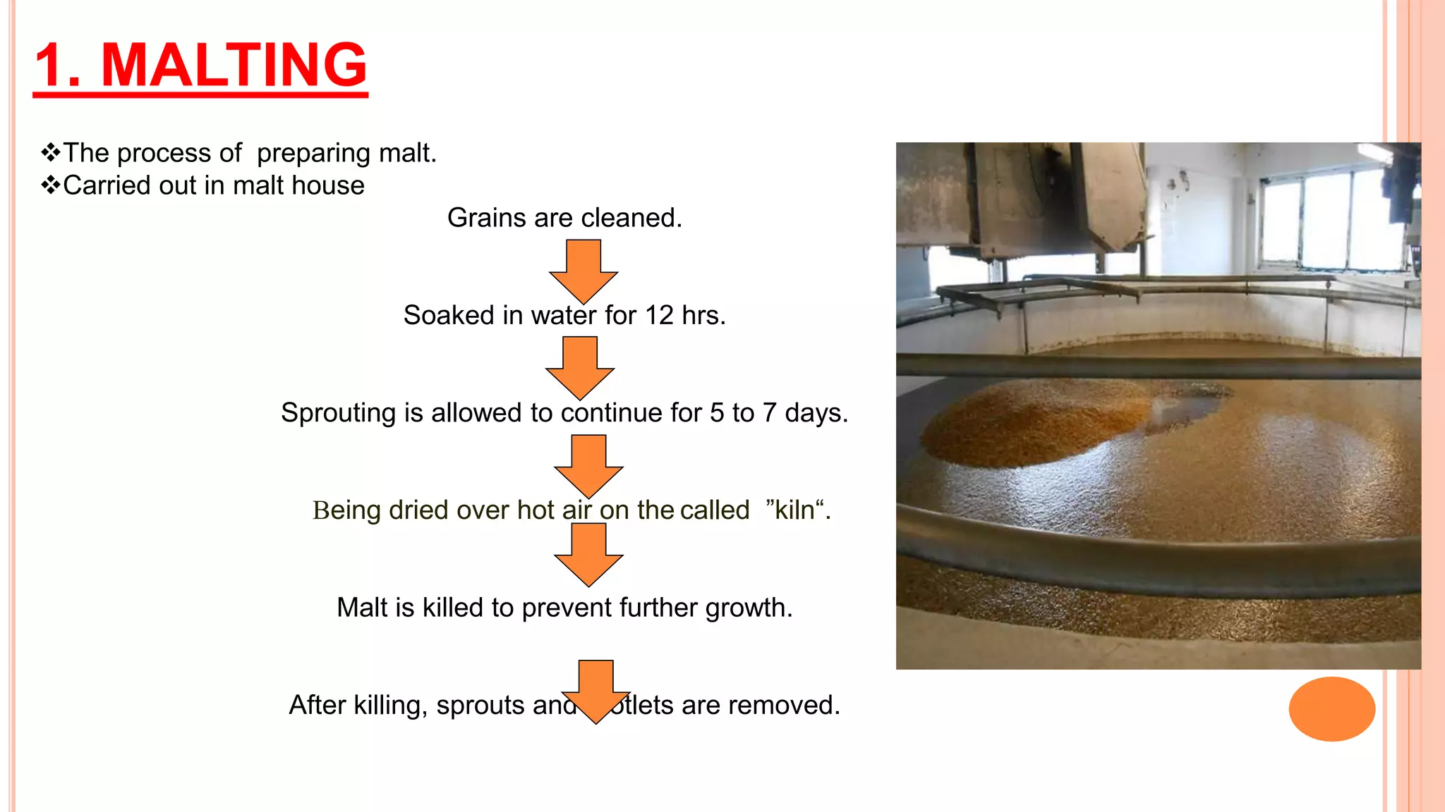 Production of beer | PPTX