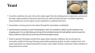 PRODUCTION OF BEER Through fermentation process | PPTX