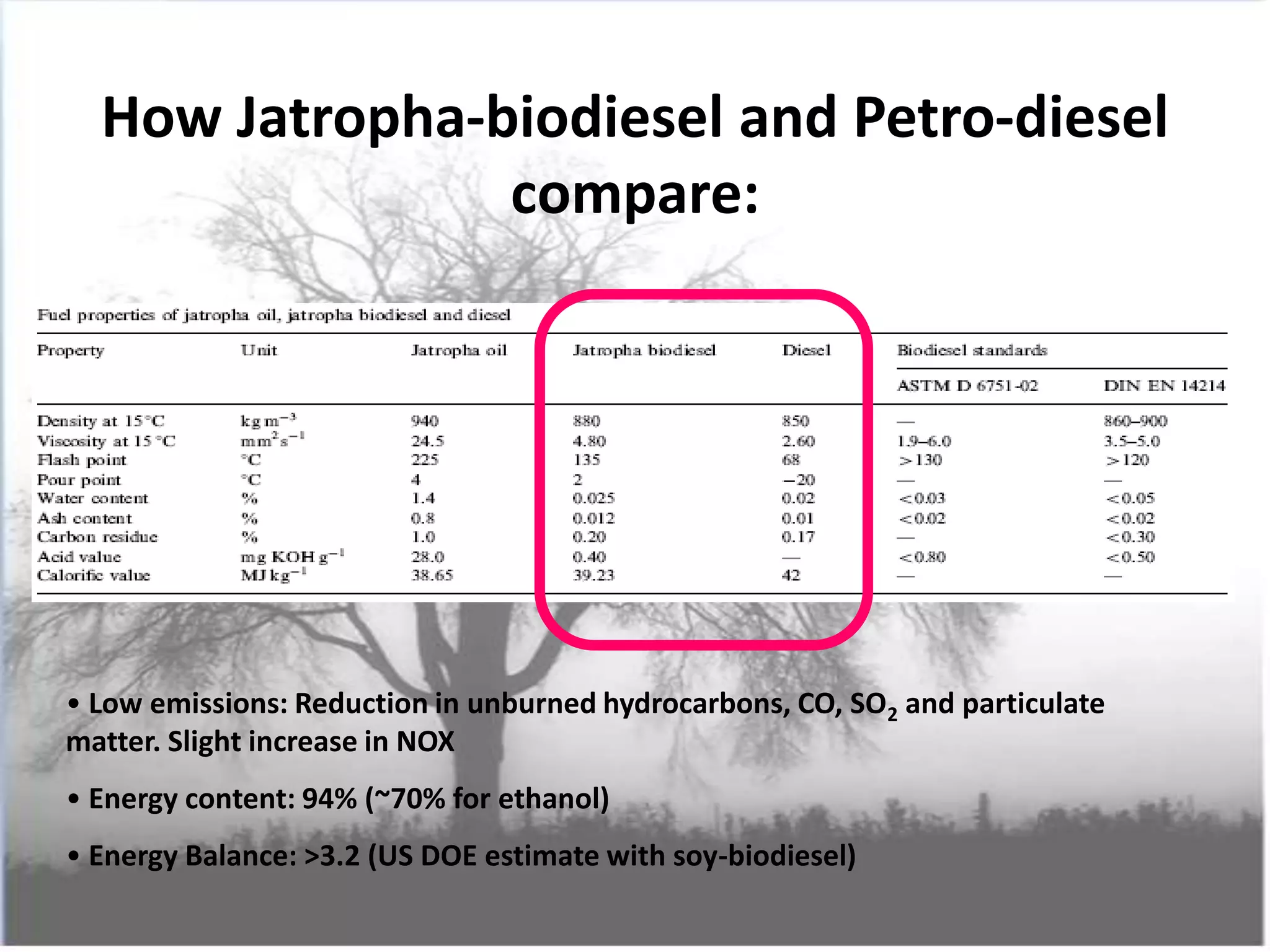 Production of biodiesel from jatropha plant | PPTX