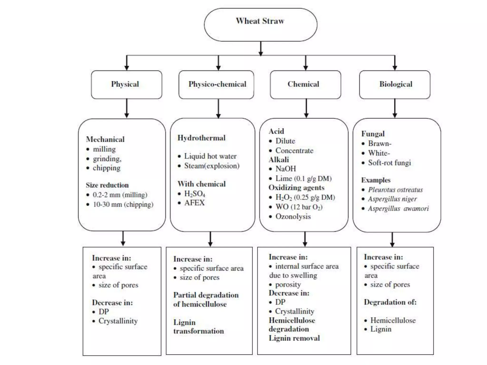 Production of bioethanol from wheat straw | PPTX