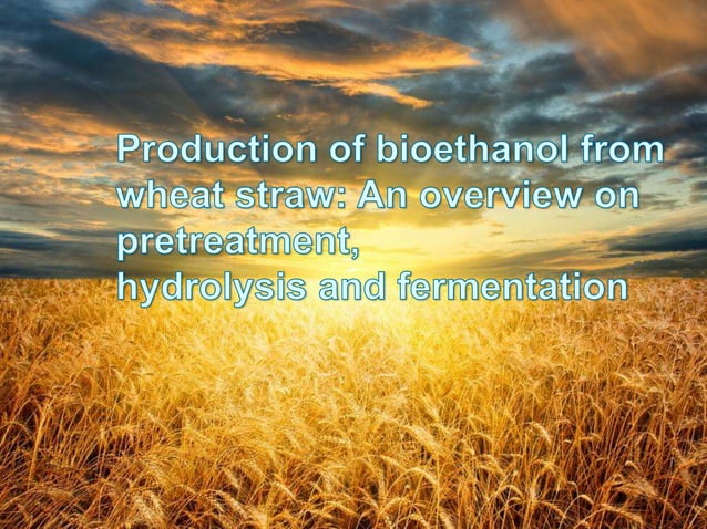 Production of bioethanol from wheat straw | PPTX | Agriculture | Industries