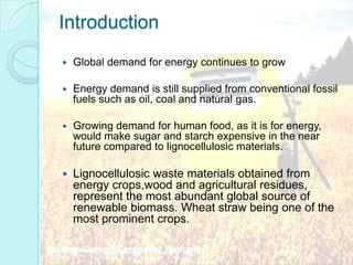 Production of bioethanol from wheat straw | PPTX