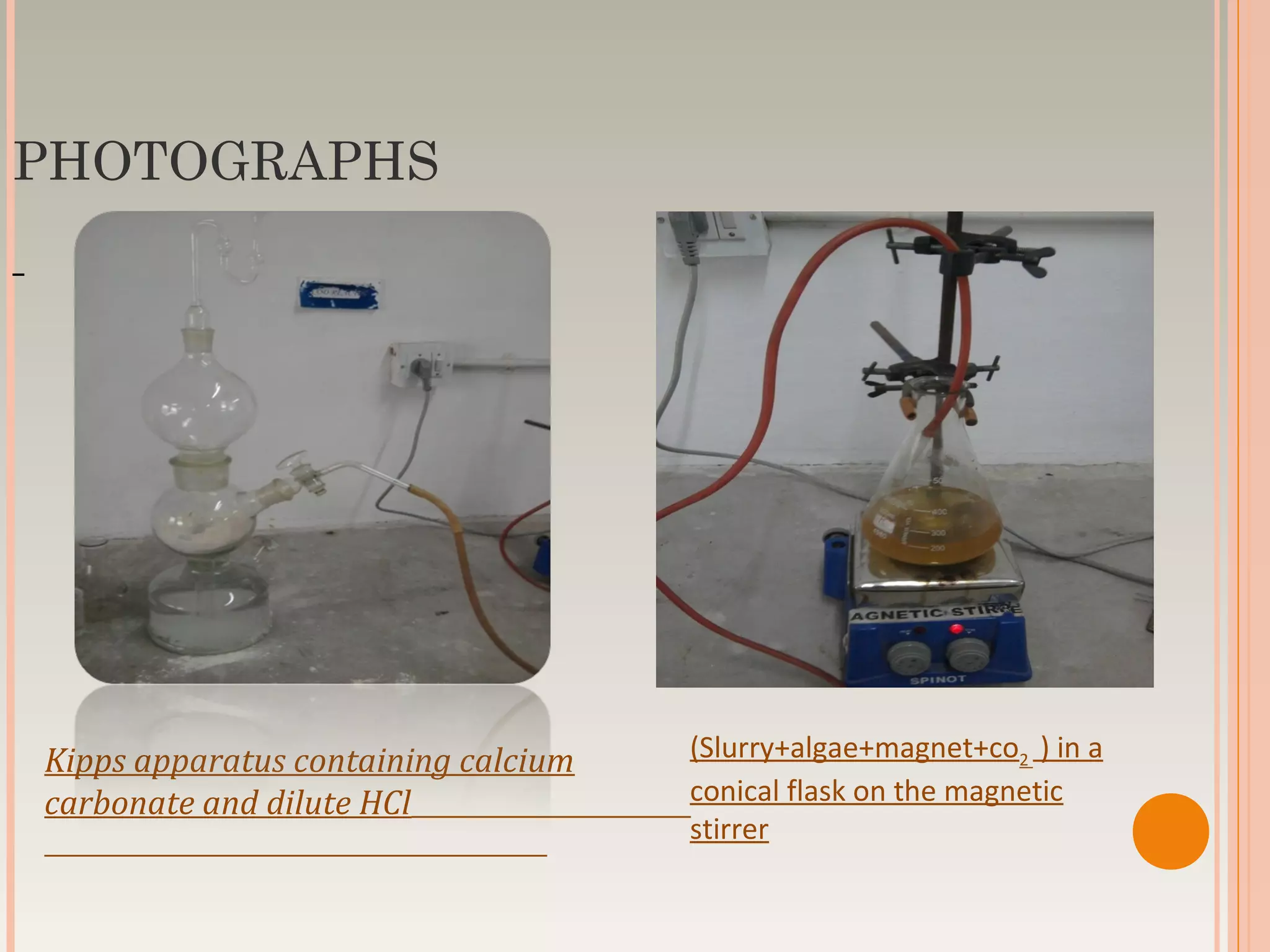 Production of biofertilizer(anabaena and nostoc) using co2 | PPT