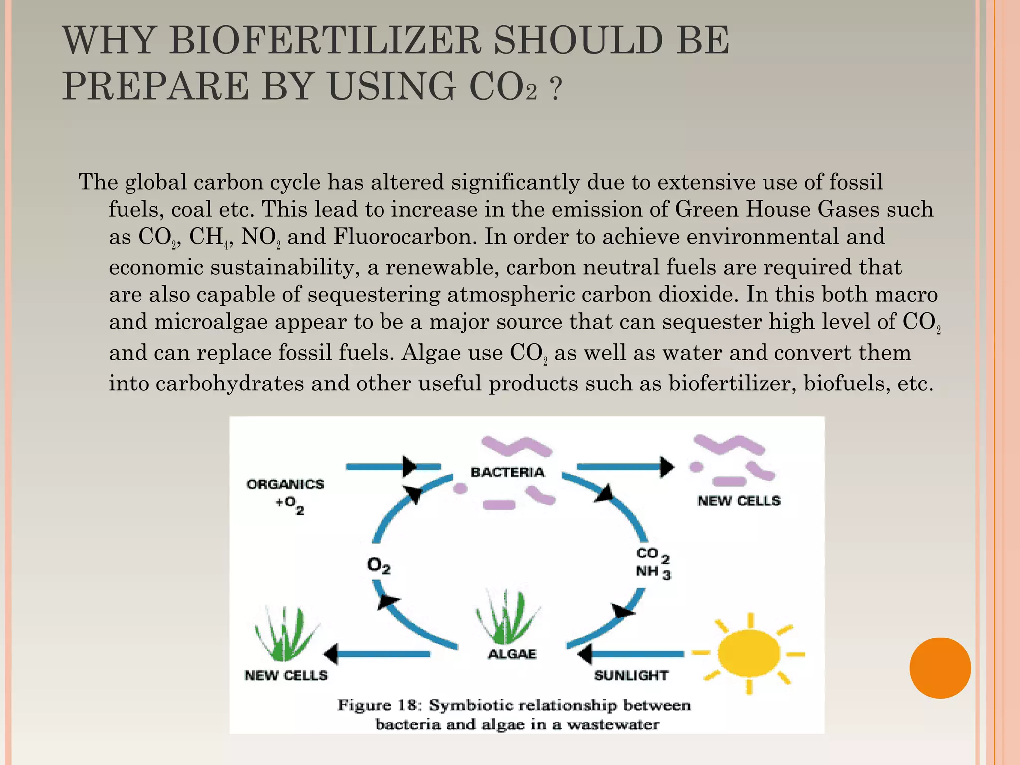 Production of biofertilizer(anabaena and nostoc) using co2 | PPT