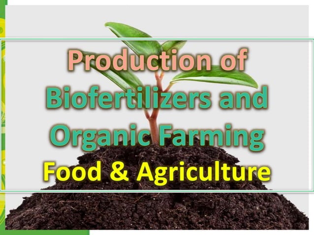 Production of Biofertilizers and Organic Farming - Food and Agriculture | PPTX | Agriculture ...