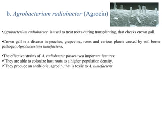 Production of biopestcides | PPTX