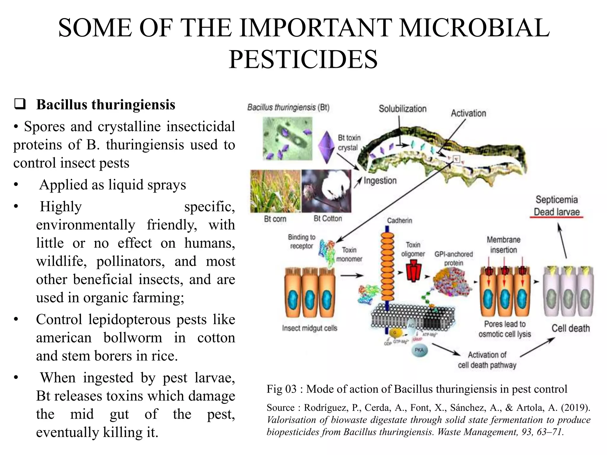Production of biopesticides | PPTX