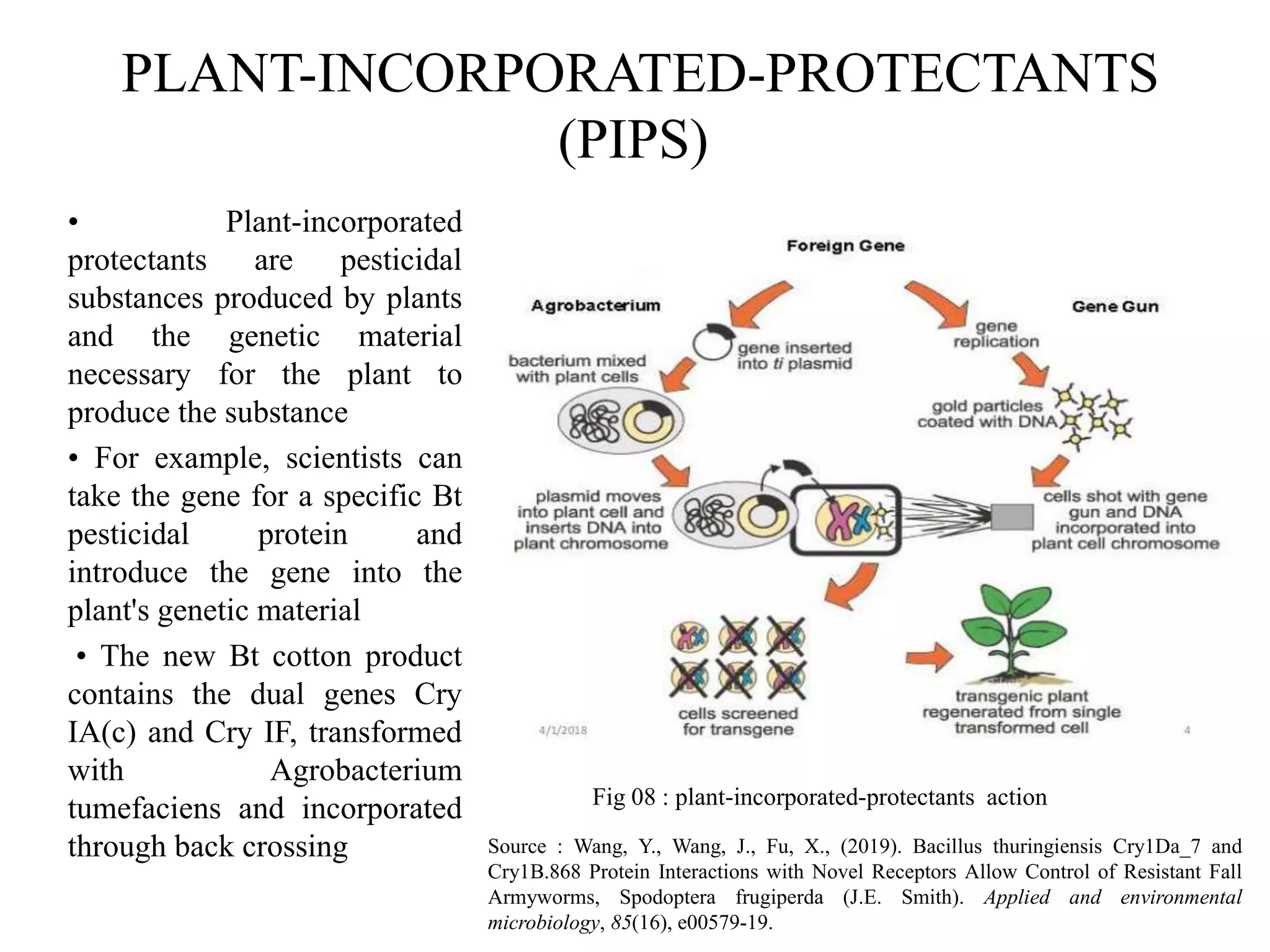 Production of biopesticides | PPTX