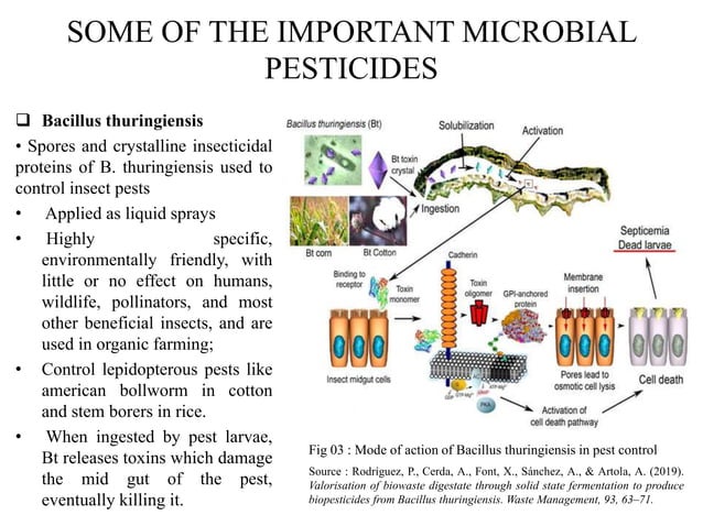 Production of biopesticides | PPTX