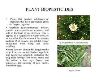Production of biopesticides | PPTX