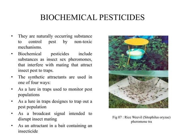Production of biopesticides | PPTX