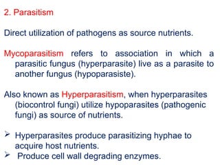 preparation and Production of Biopesticides.ppt