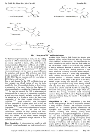 Production of Camptothecin from Nothapodytes nimmoniana: An Overview | PDF