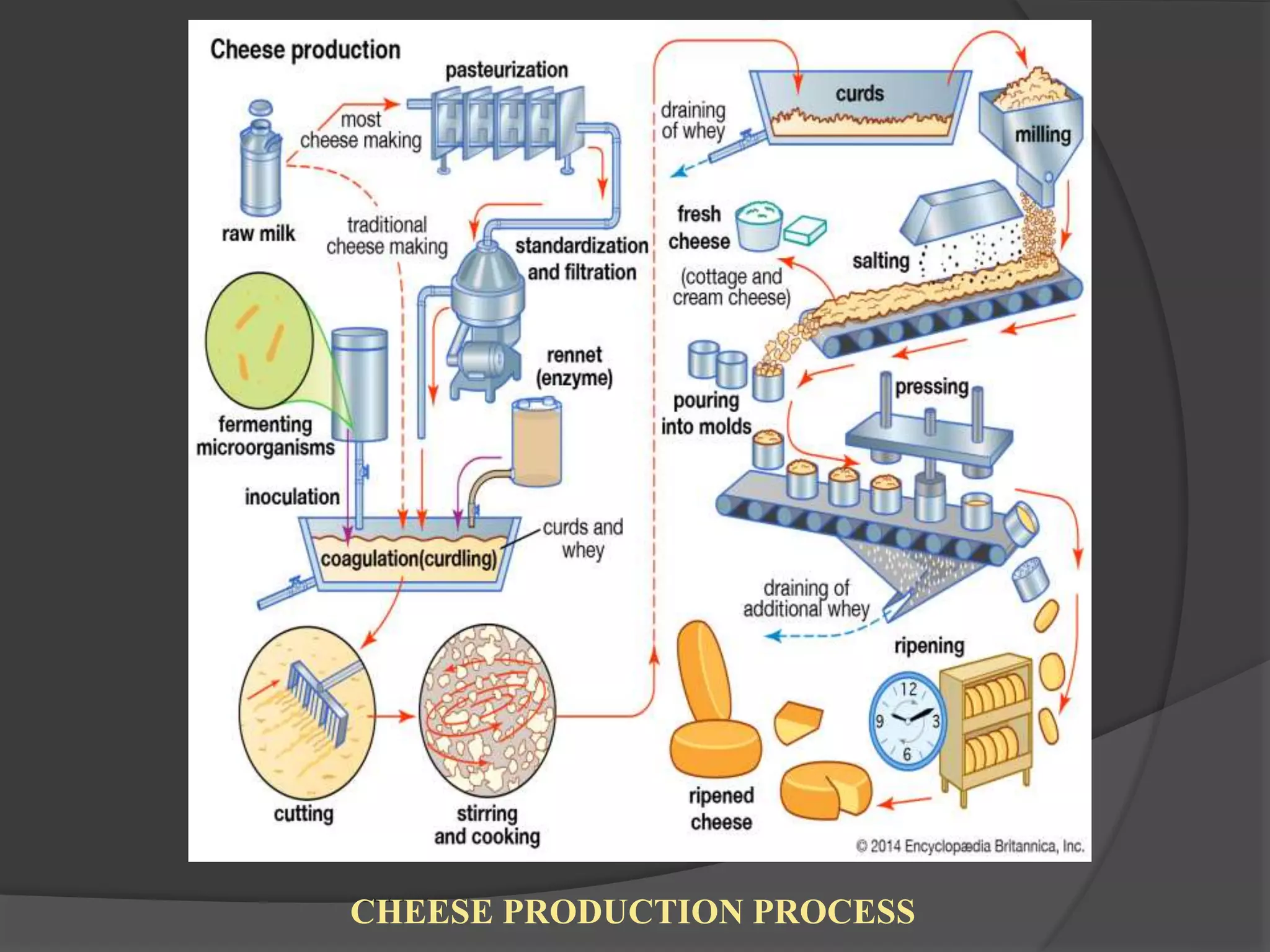 Production of cheese | PPTX