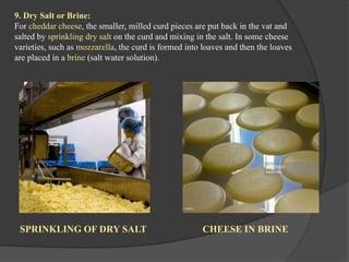 productionofcheese-200608212335.pdf