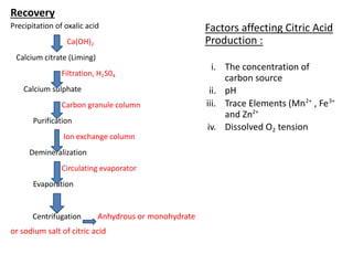 PRODUCTION OF CITRIC ACID, ETHANOL AND GLUCONIC pdf.pdf