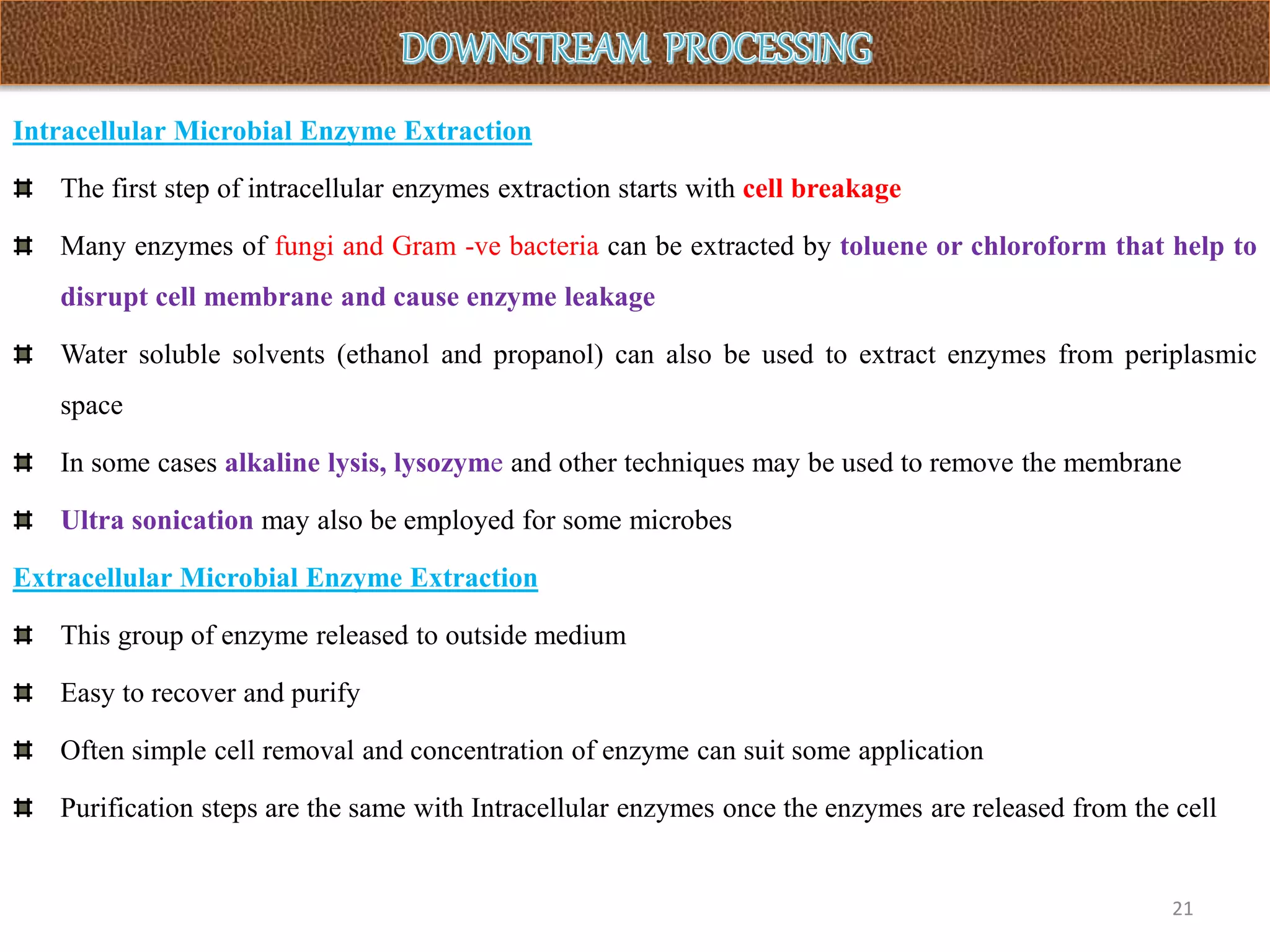 Production of enzyme | PPTX