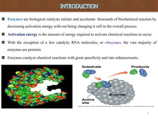 Production of enzyme | PPTX