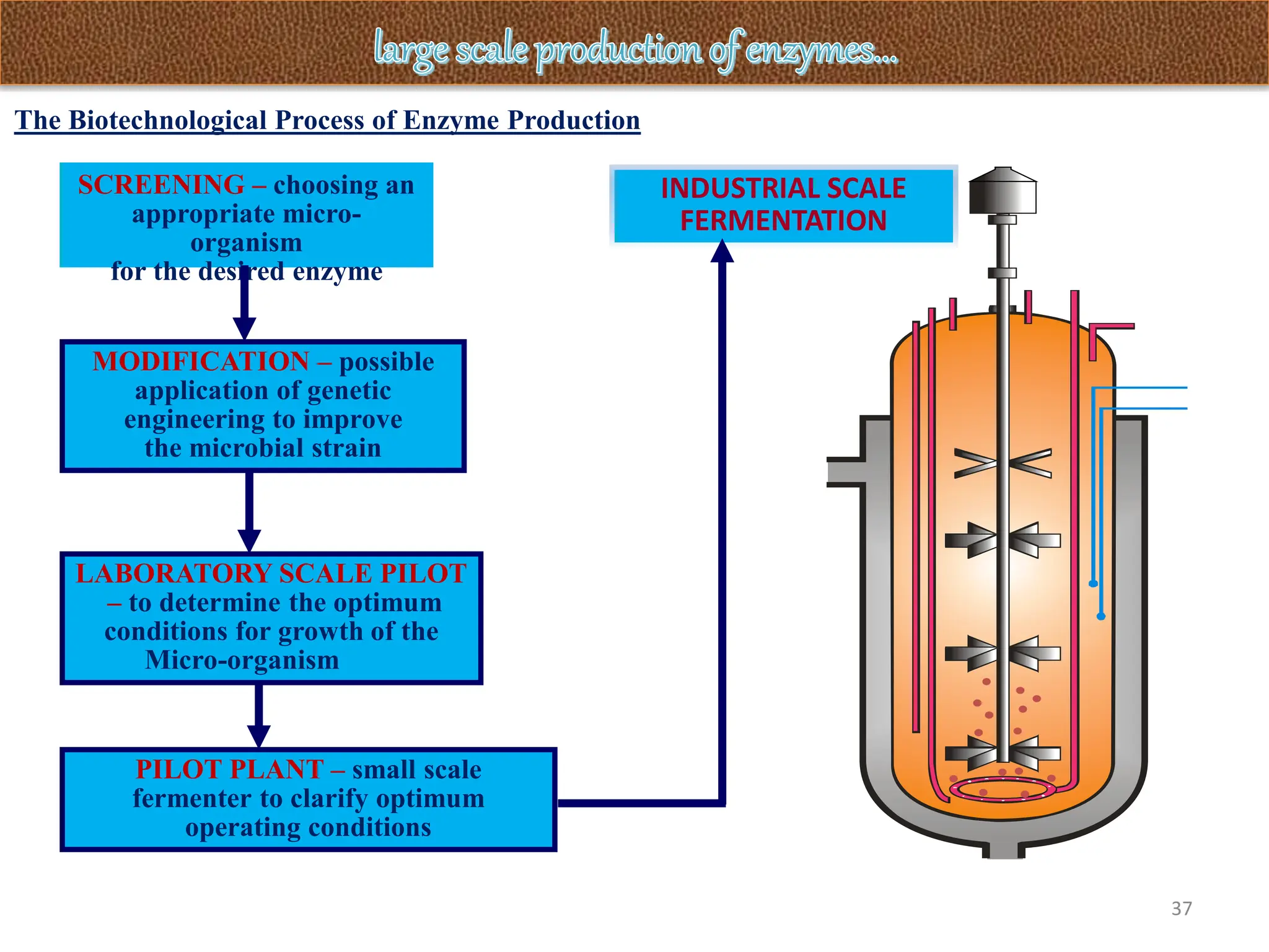 production of enzyme in industrial enzymology | PPTX