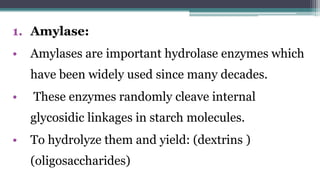 Production of enzymes | PPTX
