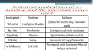 Production of enzymes | PPTX