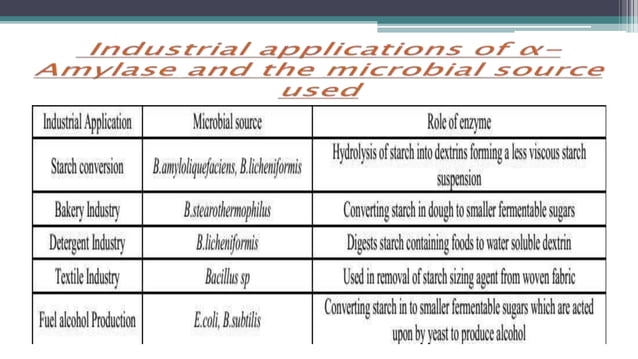 Production of enzymes | PPTX | Chemistry | Science