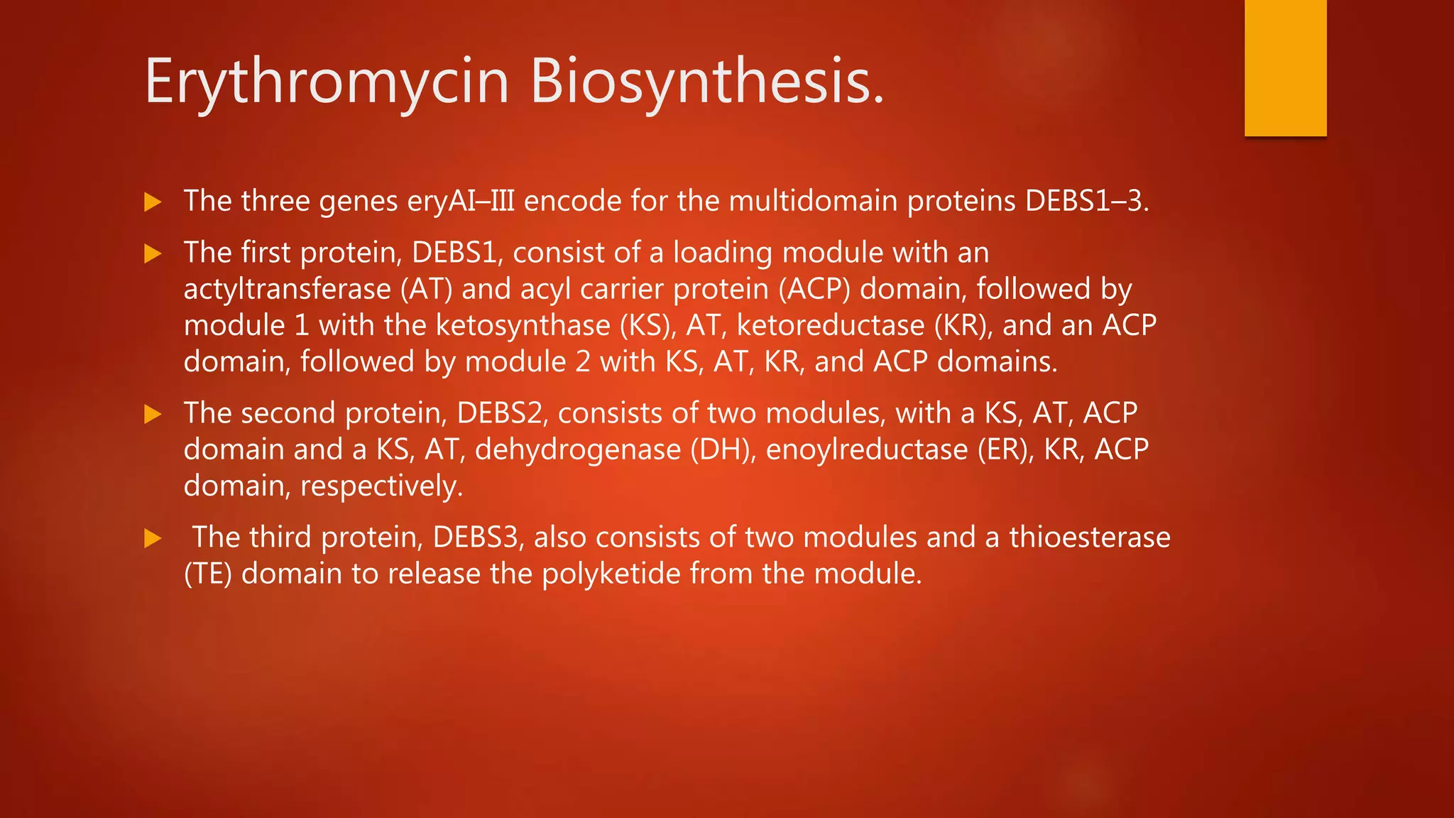 Production of erythromycin | PPTX