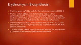 Production of erythromycin | PPTX