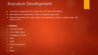 Production of erythromycin | PPTX