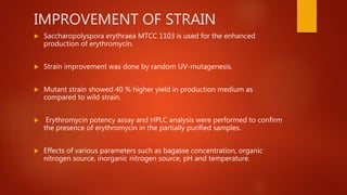 Production of erythromycin | PPTX