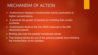Production of erythromycin | PPTX