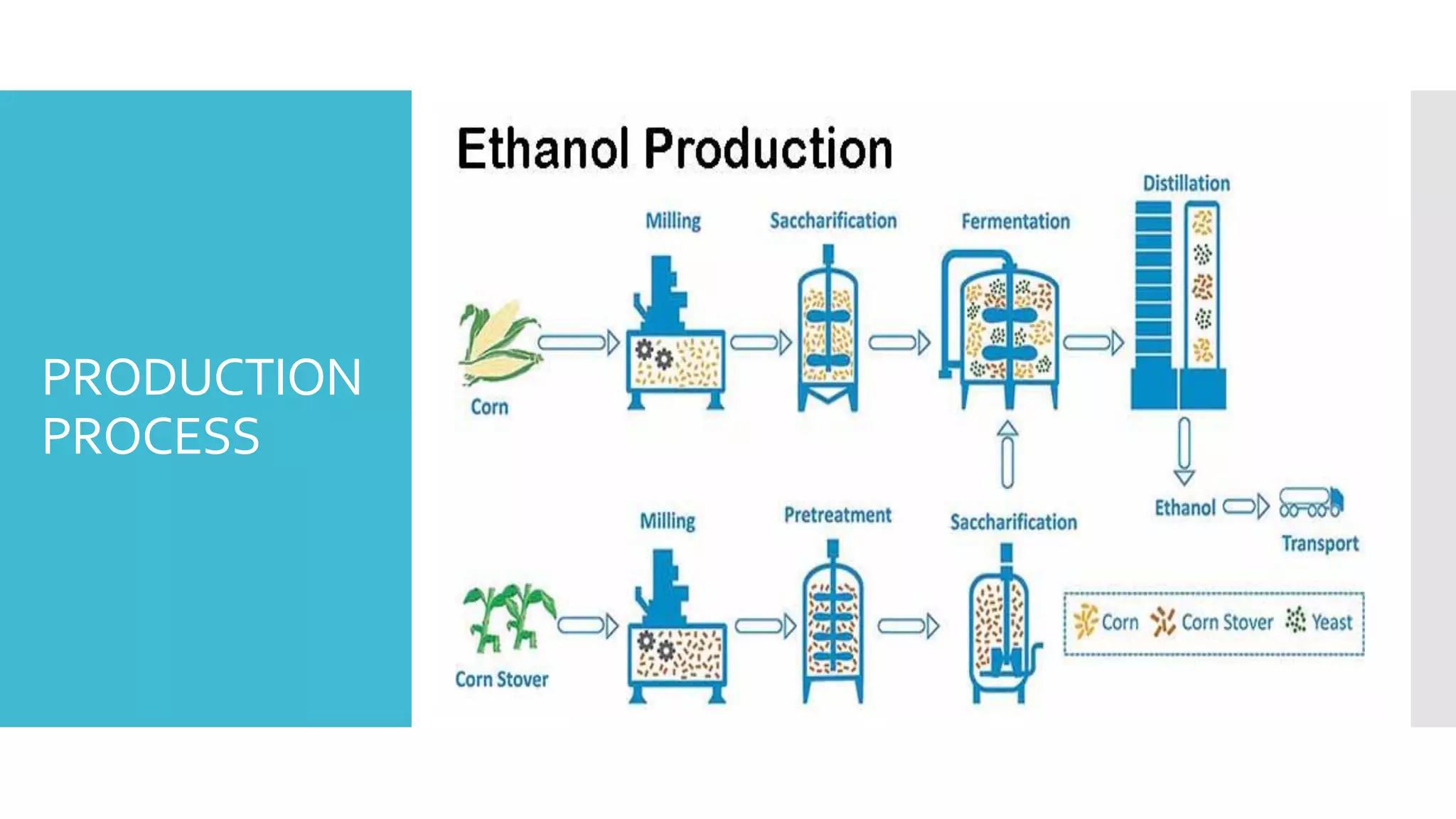 Production of ethanol by microbes (036) | PPT