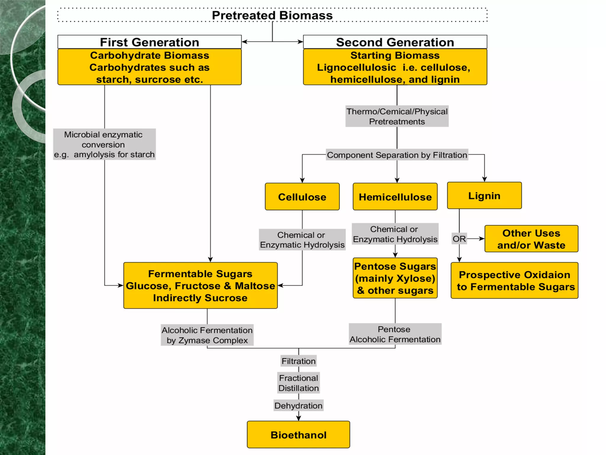 Production of ethanol from different sources | PPTX