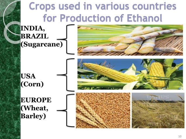 Production of ethanol from different sources | PPTX