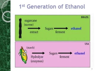 Production of ethanol from different sources | PPTX