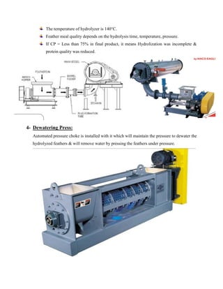 Production of feather meal | PDF