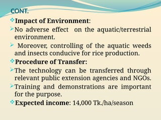 Production of fish in paddy field of bangladesh | PPTX