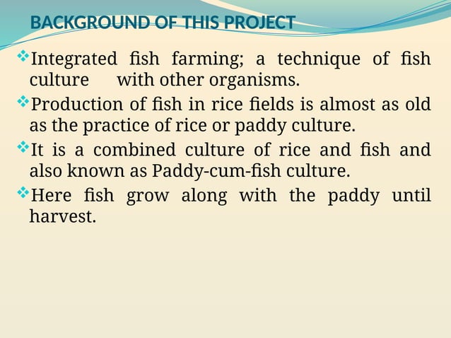 Production of fish in paddy field of bangladesh | PPT