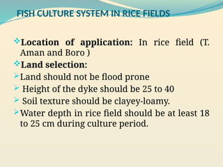 Production of fish in paddy field of bangladesh | PPTX