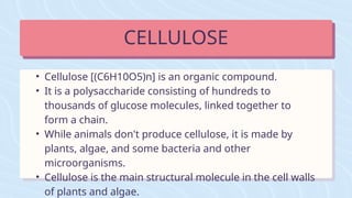 production of glucose from cellulose.pptx