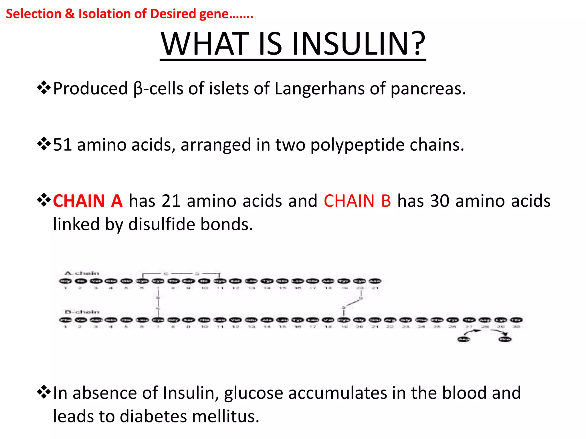 Production of human health care products insulin | PPT