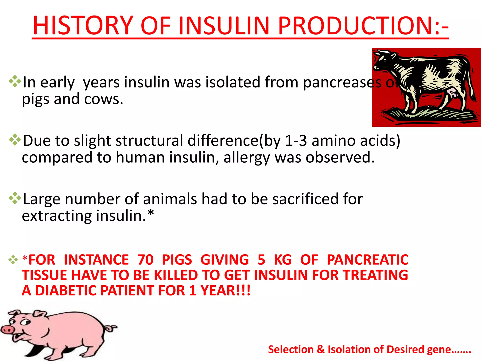 Production of human health care products insulin | PPT