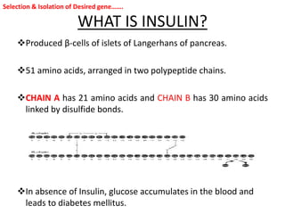 Production of human health care products insulin | PPT | Diabetes ...