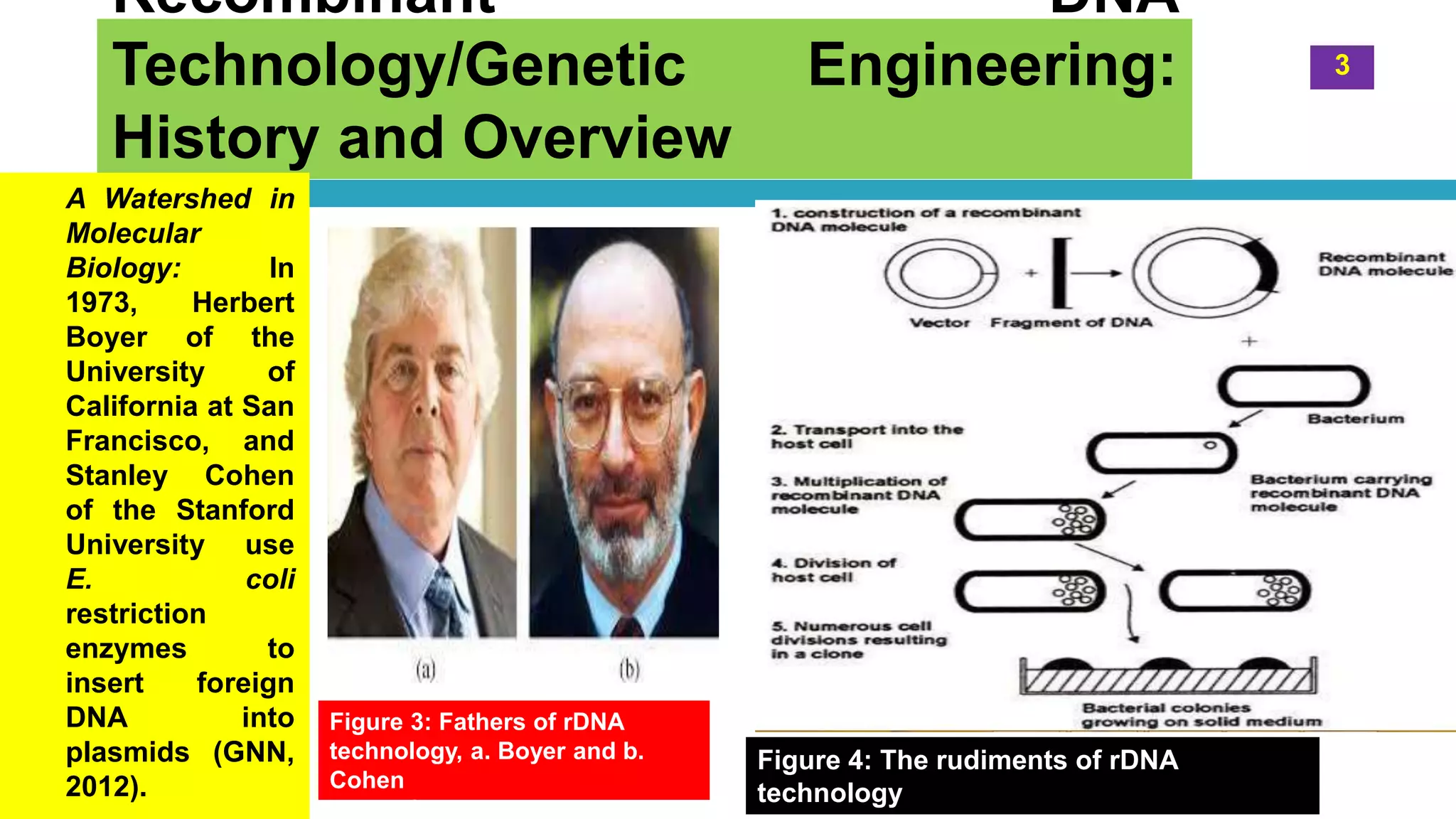 ProductionofHumanInsulinHormoneHumulinthroughGeneticEngineeringUsingEsc ...